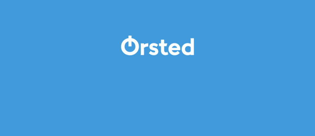 Fra vision til konkret adfærd | Sådan har Ørsted løst opgaven ...